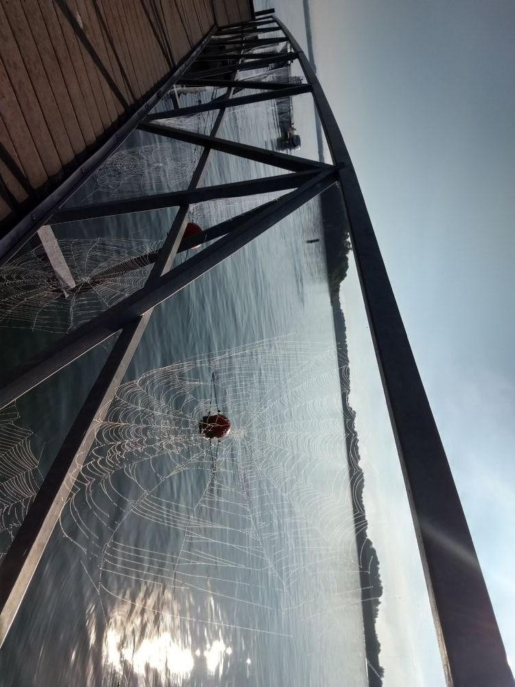 Big Oaks Recreation Area (Boat Ramp at Lake Hartwell)